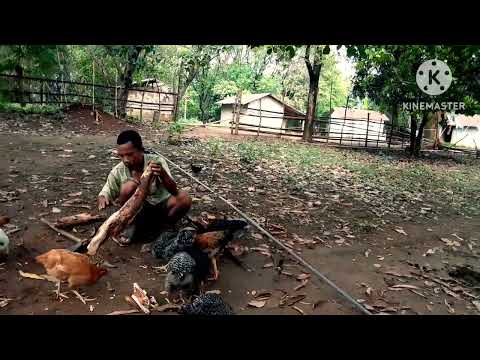 9 July 2023 garo video  do.ona a.kin tokgi onani