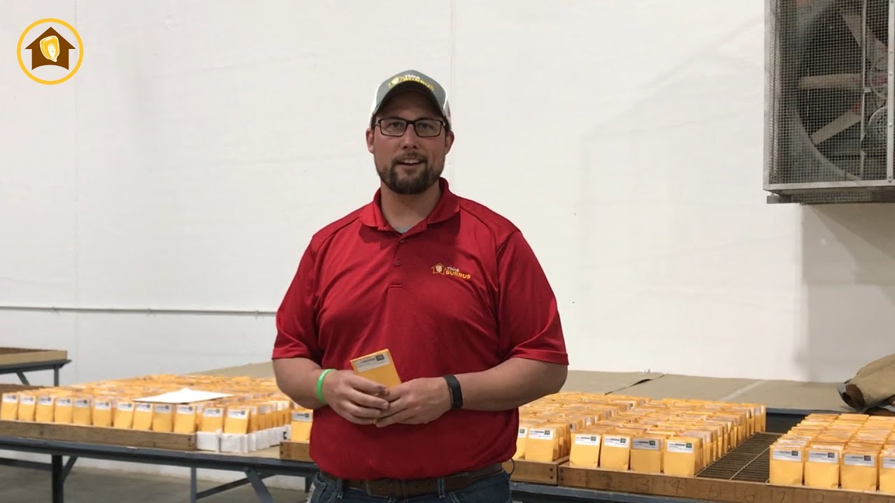 Rainy Planting Days for the Research Team - YouTube