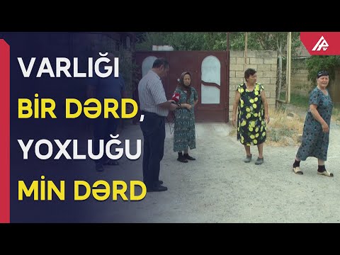 Salyanlıların zibil qutusu şikayəti: Olmasa yaxşıdır - APA TV