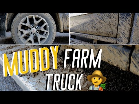 Deep Cleaning a DISASTER Work Truck!! | Super Nasty Car Detailing and INSANE Transformation!