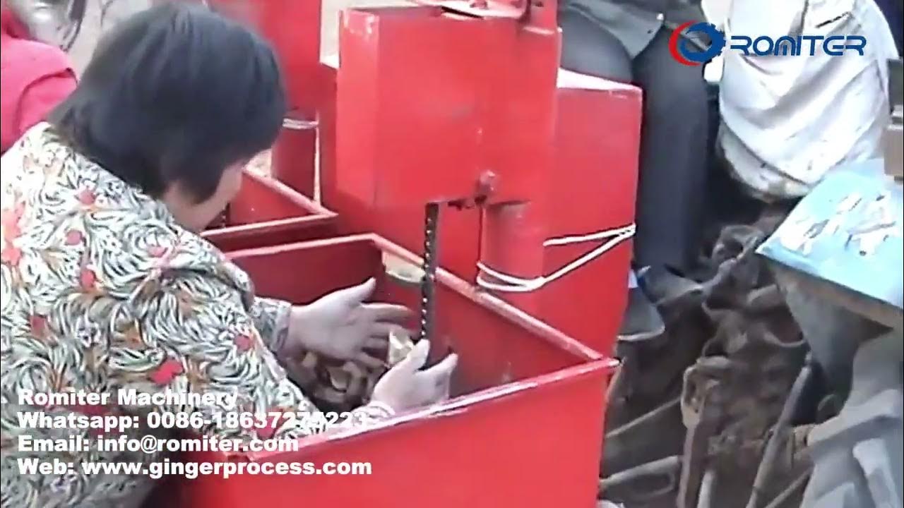 Автоматическая сеялка для семян имбиря - YouTube