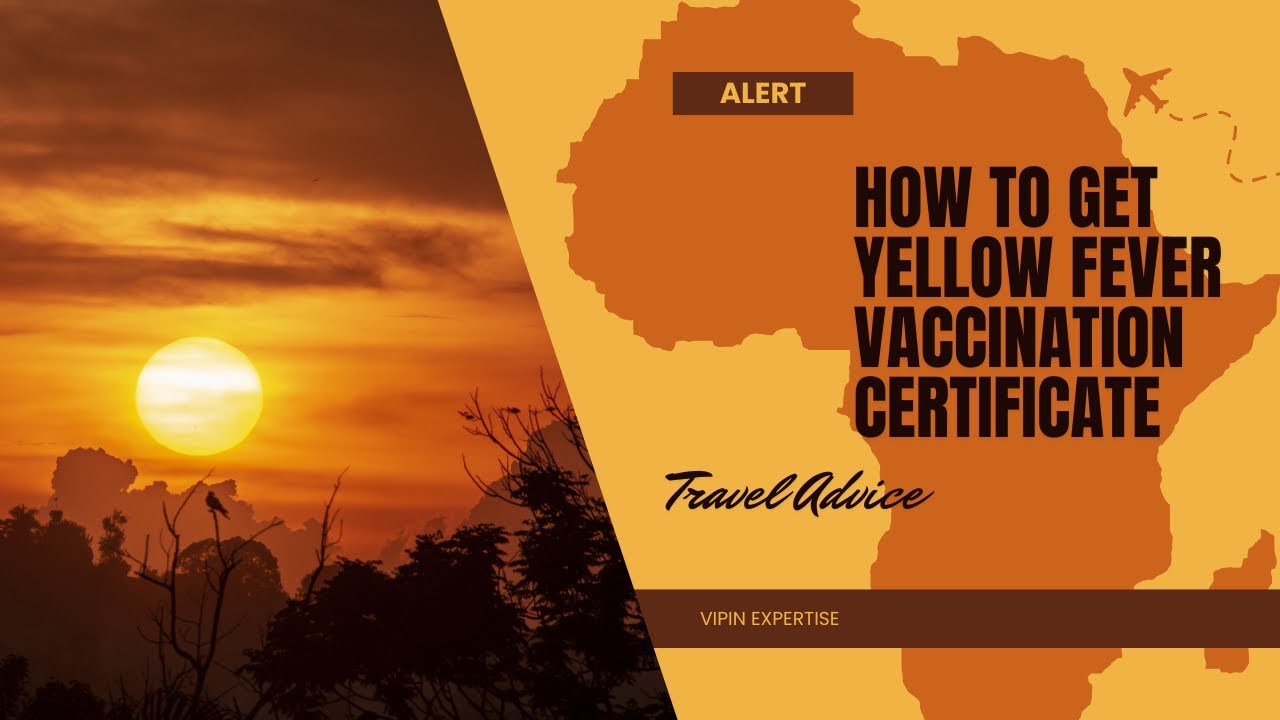 Where to get yellow fever vaccination certificate ,How to apply and ...