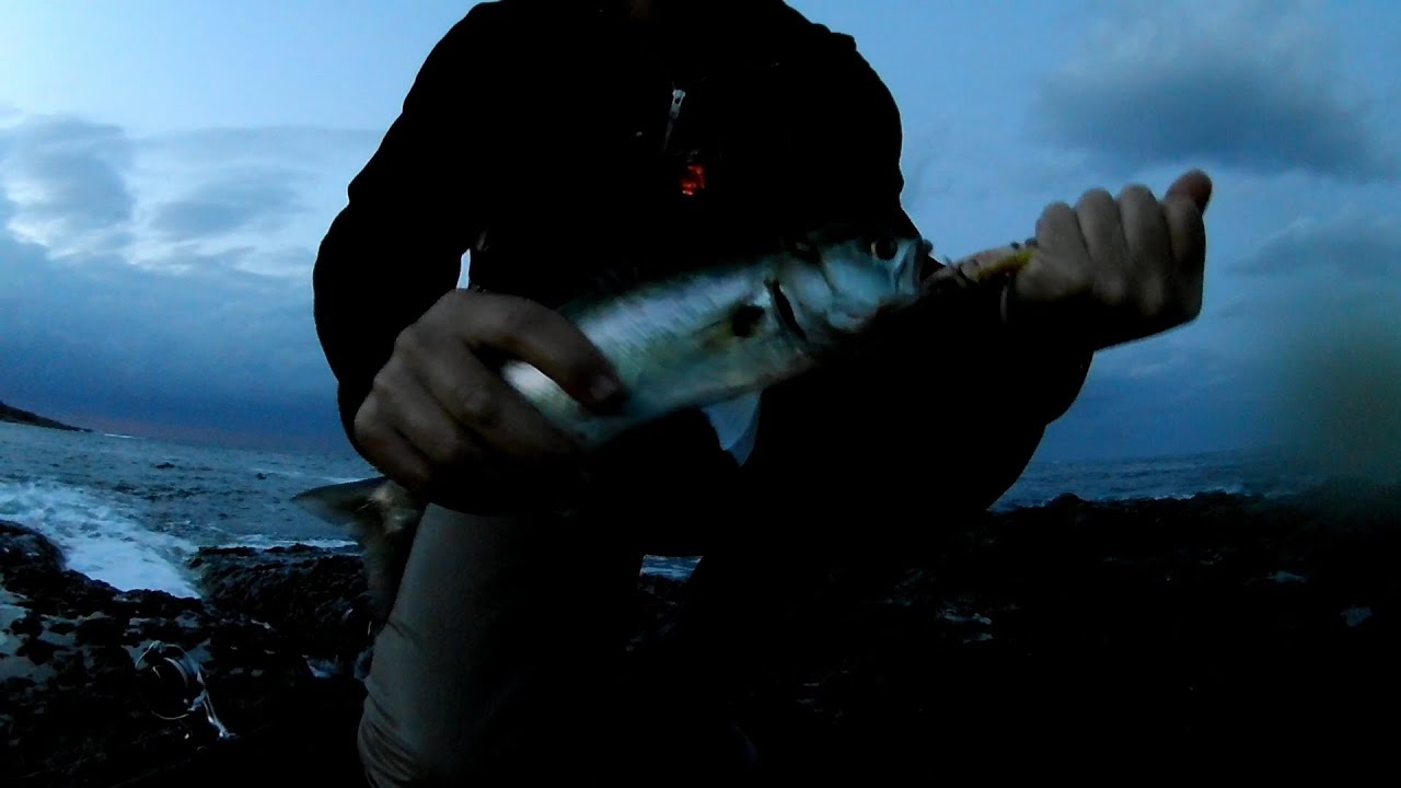 Риболов на лефер - 21.09.21 - YouTube