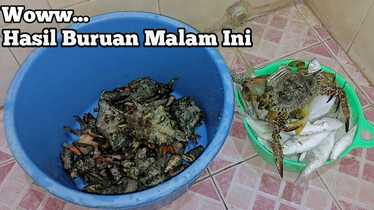 Tombak ikan di Malam hari||hasil buruan malam lumayan tidak ...