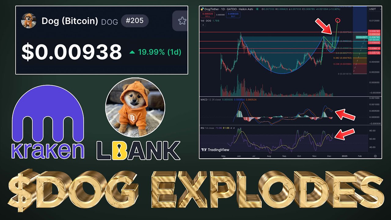 $DOG (Bitcoin) Targeting $1 Billion Market Cap 🎯 (MUST WATCH) - YouTube