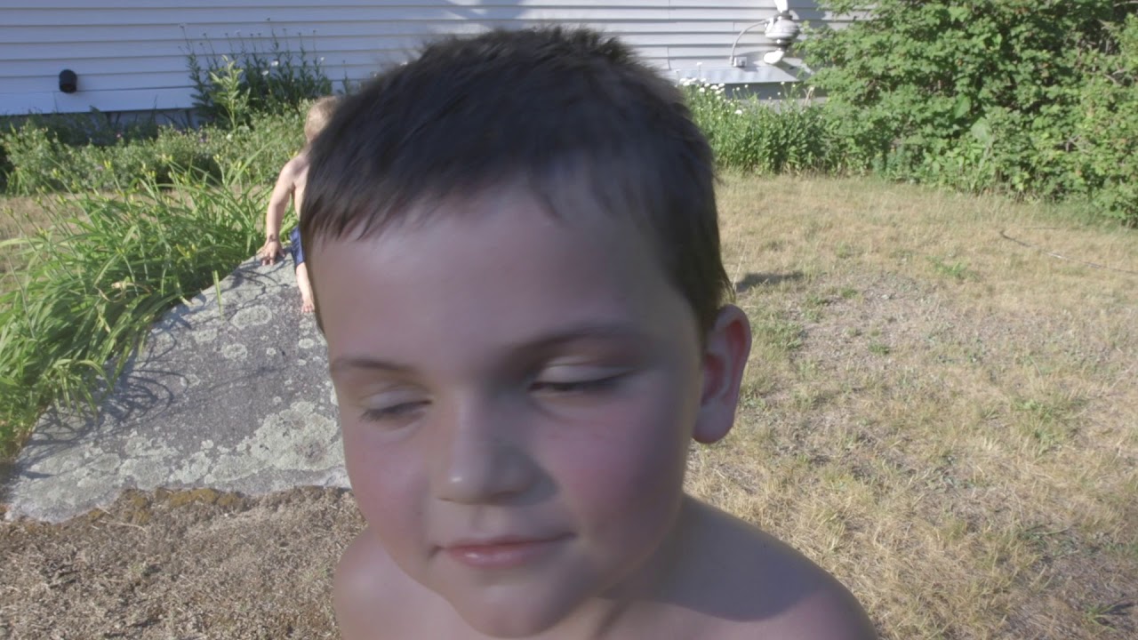 stedi Max milo - YouTube