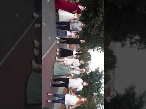 Dılgeş Roni Vanlı'lar Düğününde