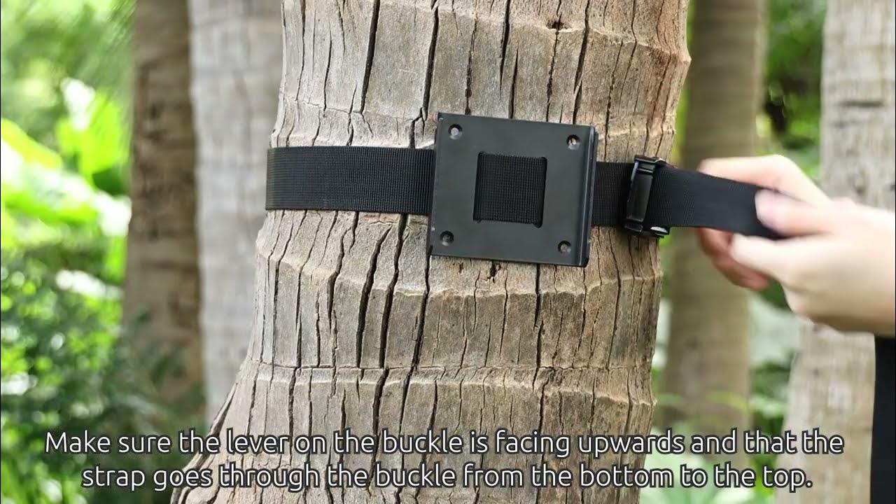 How to Mount Your Birdfy Nest on a Tree - Birdfy Nest Tutorial - YouTube