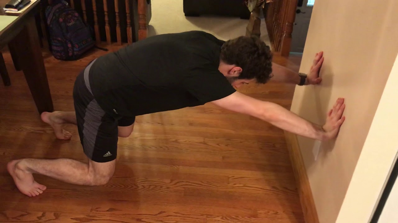 Bear Plank Hold w Row - YouTube