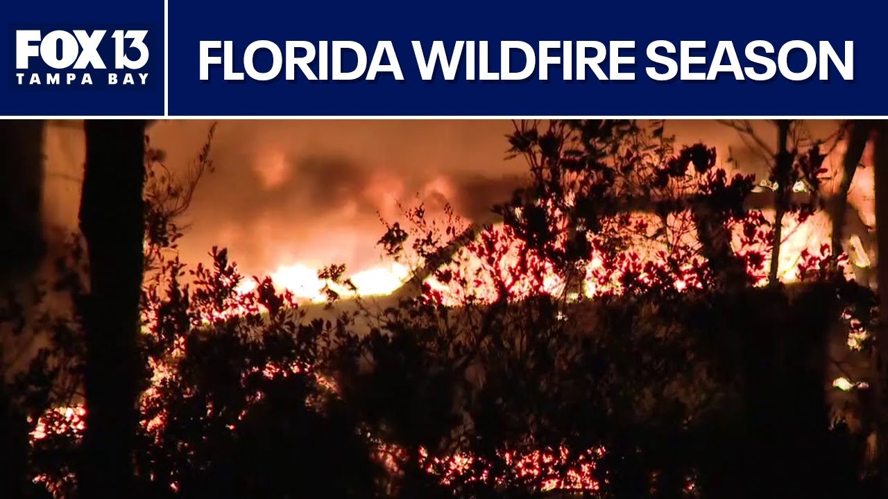 Florida wildfire season peak: Fire officials warn residents to be alert ...