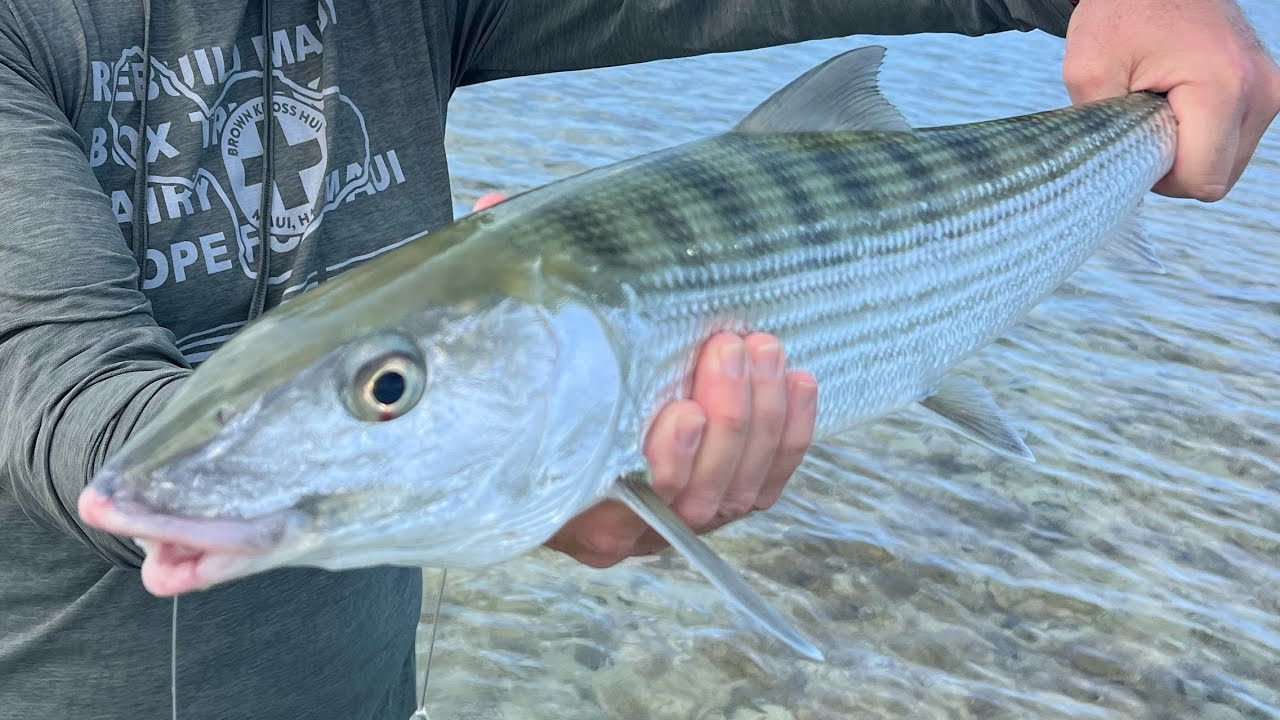 Fly fishing workshop Maui - YouTube