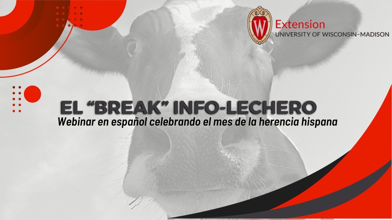 El "Break" Info-Lechero Webinar en Español. Calidad de leche - YouTube
