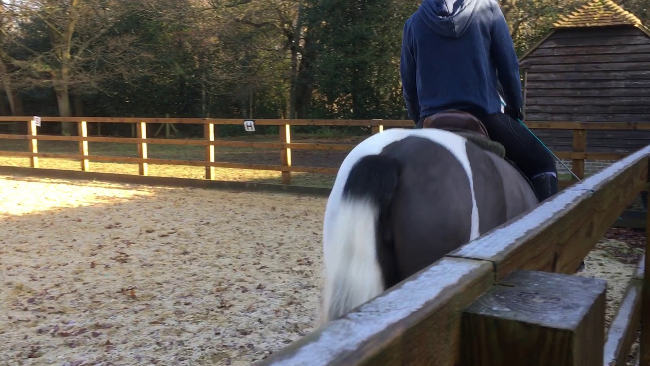 Lucy Golding Prelim 12 - YouTube