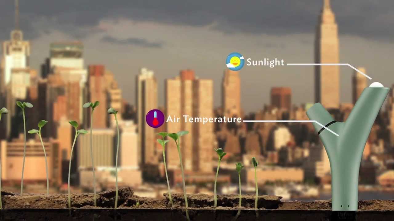 Parrot Flower Power: The smart sensor watching over your plants! - YouTube