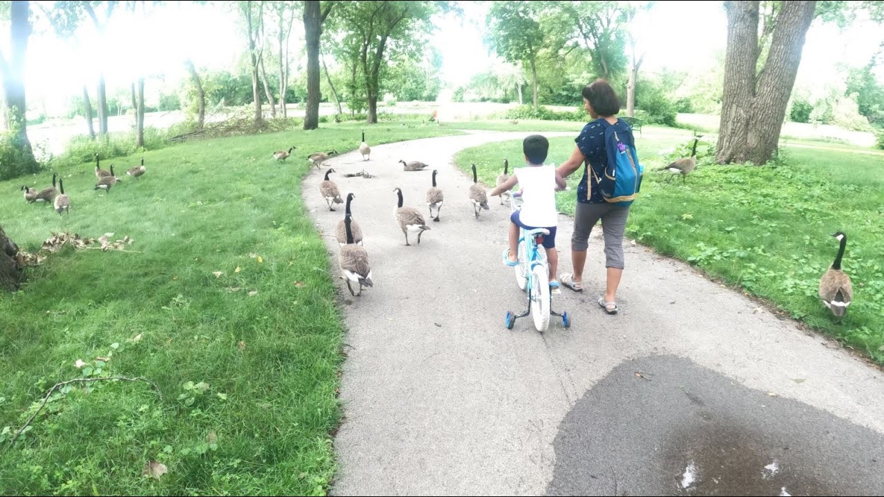 Phillips Park visit ,Aurora, IL,USA - YouTube