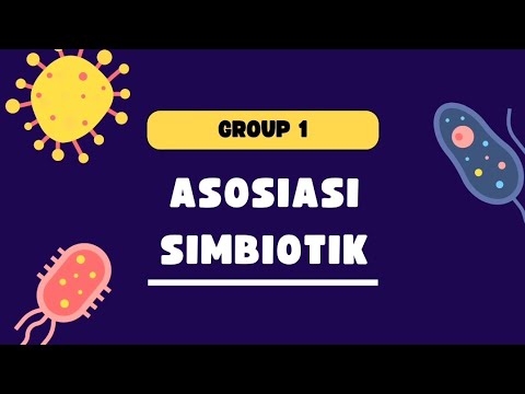 Asosiasi Simbiotik | Group 1 - YouTube