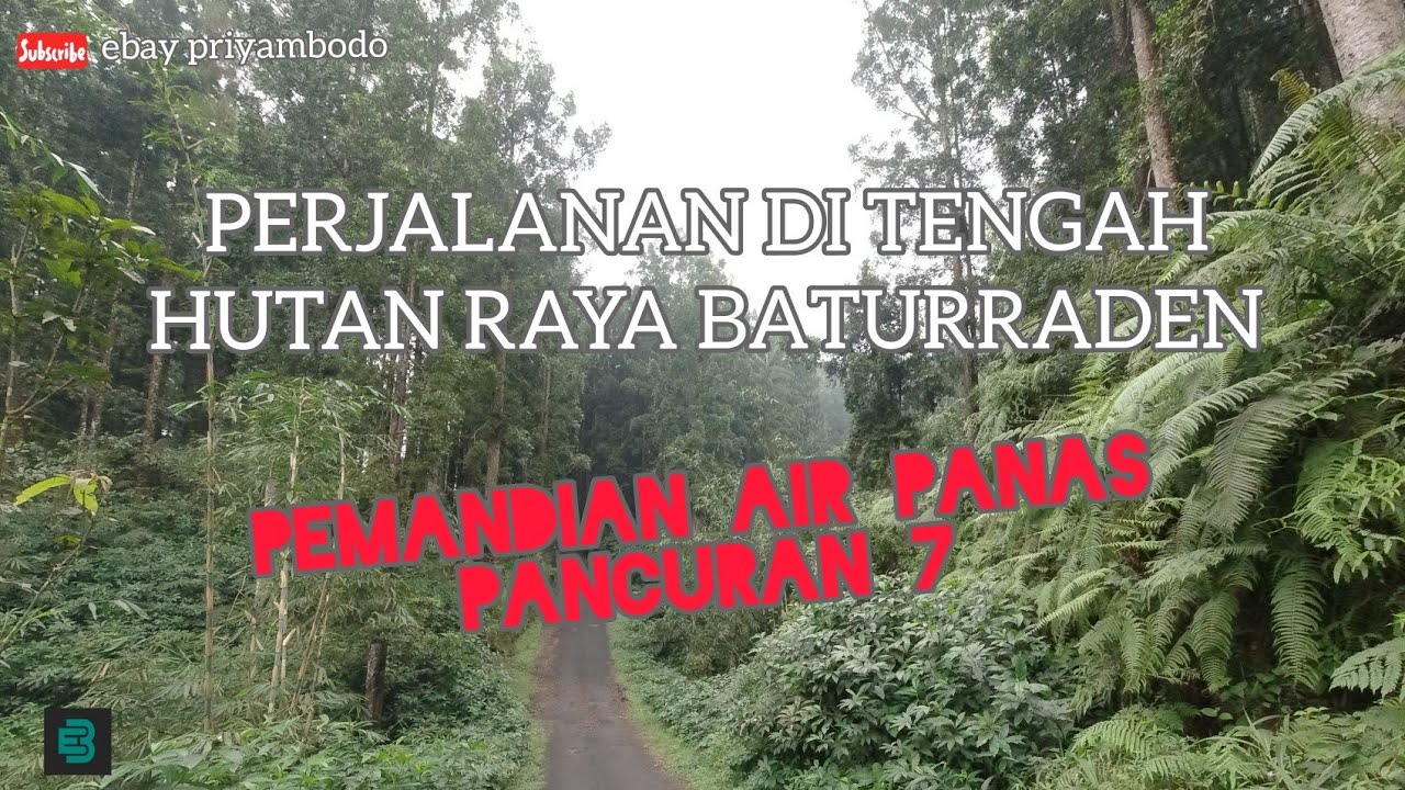 Perjalanan di Tengah Hutan Raya Baturraden | Pemandian Air Panas ...
