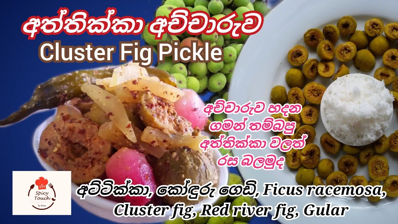 අත්තික්කා අච්චාරුව /Cluster Fig Pickle/තම්බපු අත්තික්කා උදේ කෑමට ...