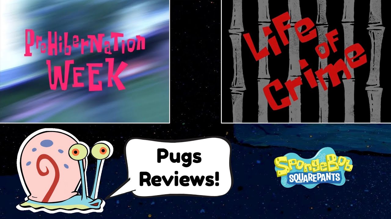 Pugs Reviews SpongeBob: Prehibernation Week + Life of Crime - YouTube