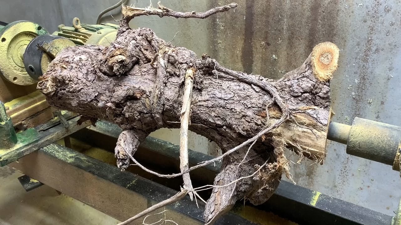 A Masterpiece From An Alien Log - Amazing Wood Turning Technique - YouTube