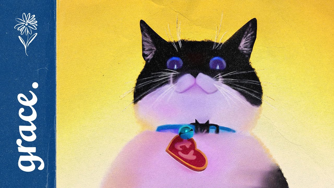 come and get your love hooman! ฅᨐฅ - YouTube