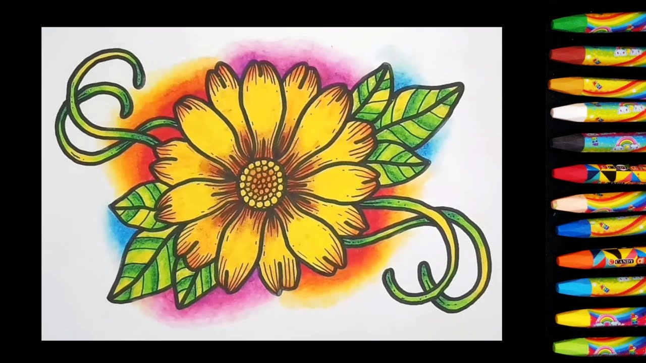 Sederhana saja, cara mudah menggambar bunga matahari menggunakan crayon ...