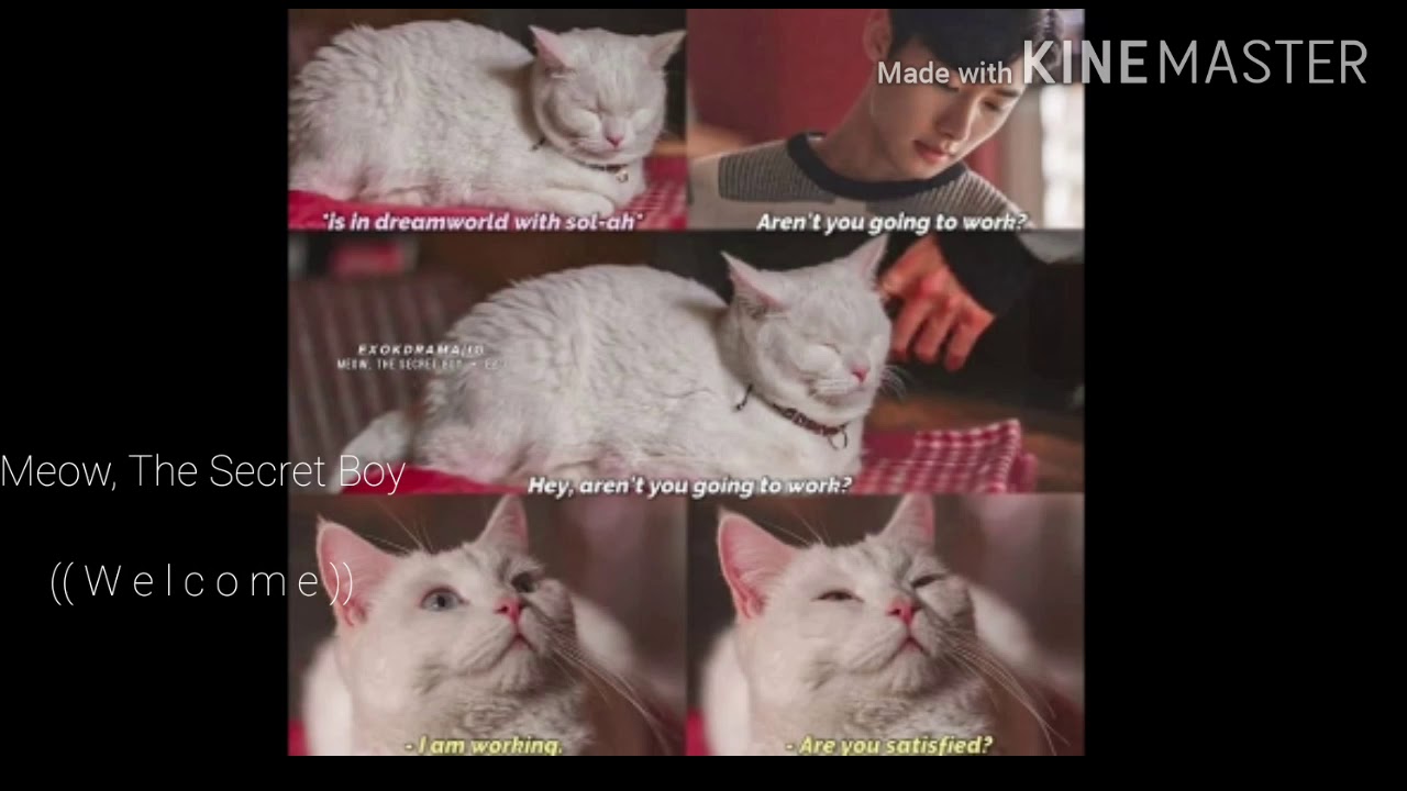Welp.. My first idk.. This Kdrama is Meow, the secret boy A.k.a Welcome ...