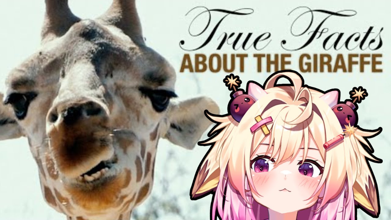 True Facts: The Wacky Giraffe | Rosiebellmoo Reacts To Ze Frank - YouTube