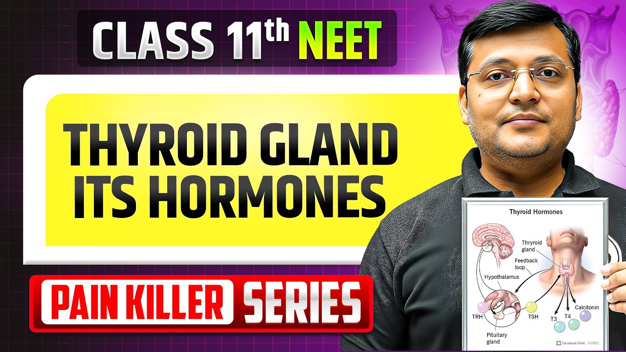 Thyroid Gland and its Hormones - From Basic to Advanced || NEET 2026 ...