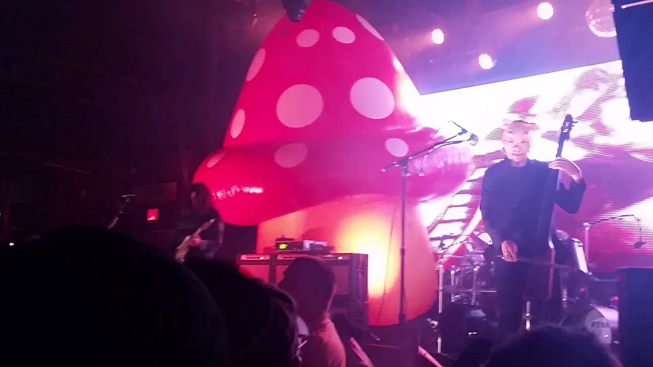 Primus- Mr. Krinkle - YouTube