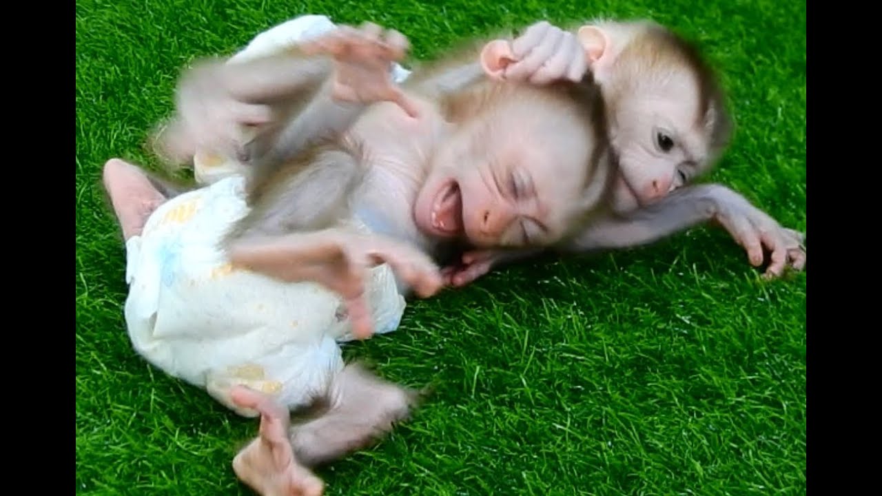 Look so hurt poor adorable Axel cry for help got hurt by sibling Avi ...