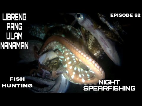 EP 62! LIBRENG PANG ULAM NANAMAN! NIGHT SPEARFISHING! FISH HUNTING ...