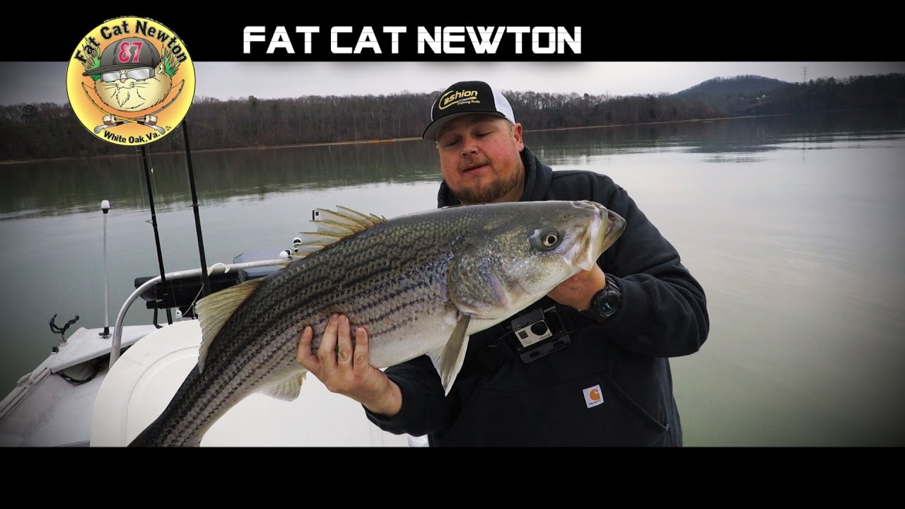 EastTNFishing: Fat Cat Newton and Melton Hill Bill - Watts Bar Lake ...