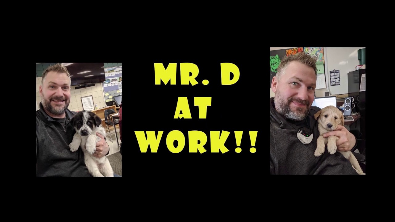 MrD at work 3 - YouTube
