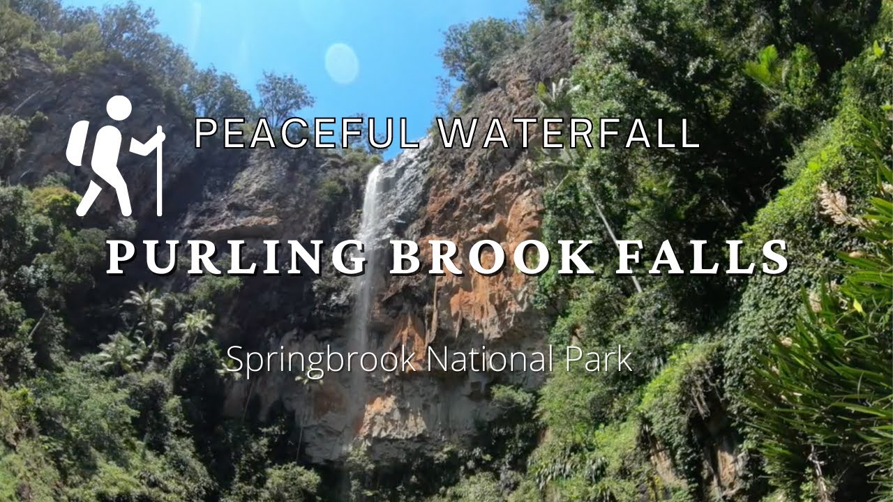 Queensland - Purling Falls - YouTube