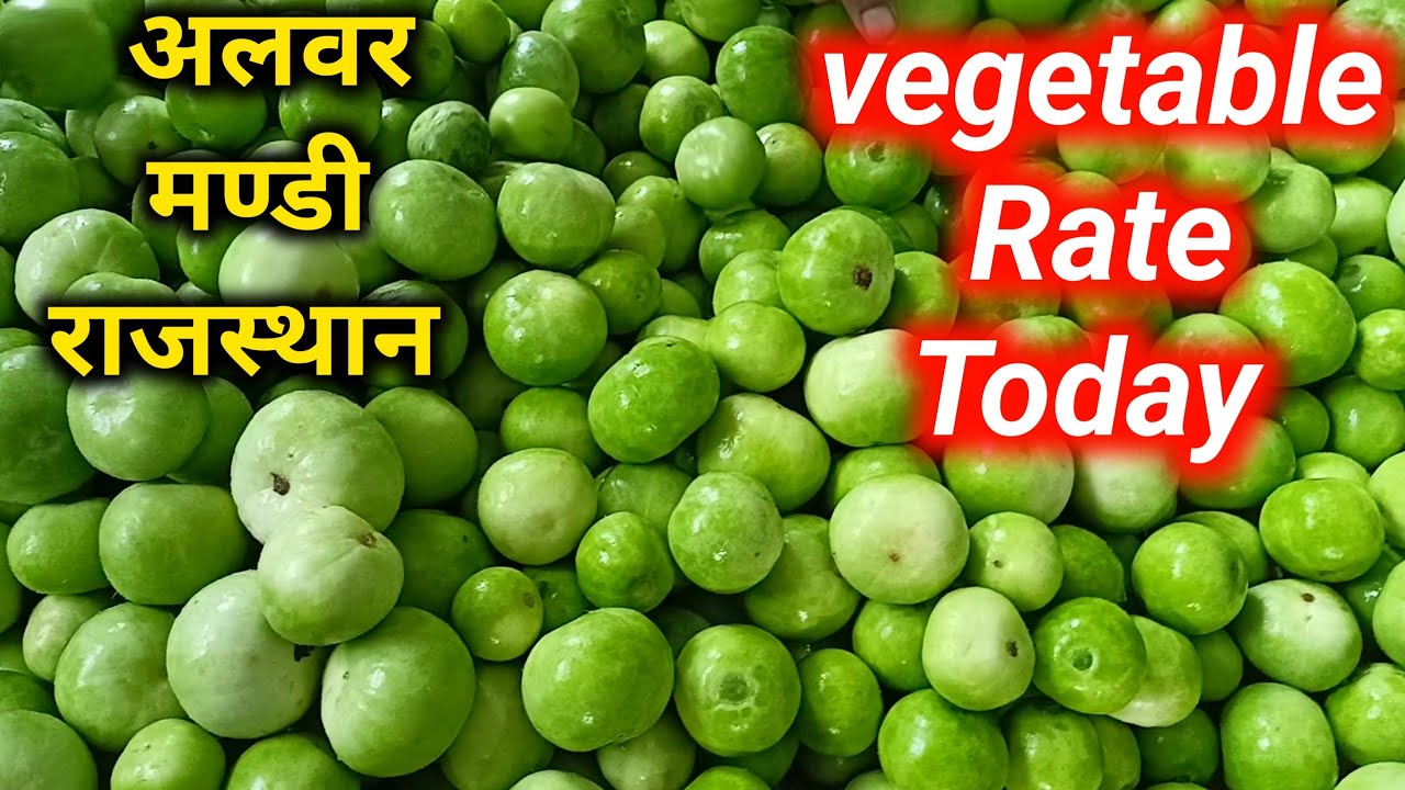 30 मई 2025 Vegetable Price Today / Vegetable Rate Today Alwar Mandi ...