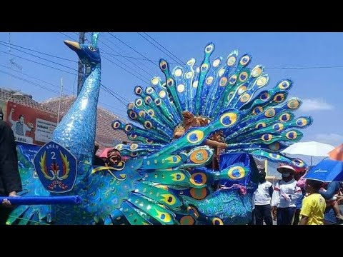 Karnaval Cepu Kab Blora 2018, Ada Yang Pamer DADA