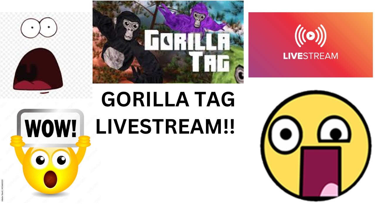 Gorilla tag Live | Minigames | | Infection | | Trying to get Better ...