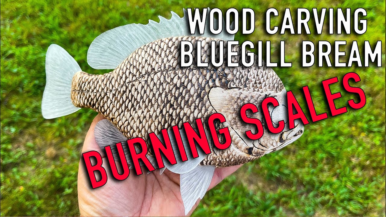 Bluegill wood carving, burning scales part 5 - YouTube