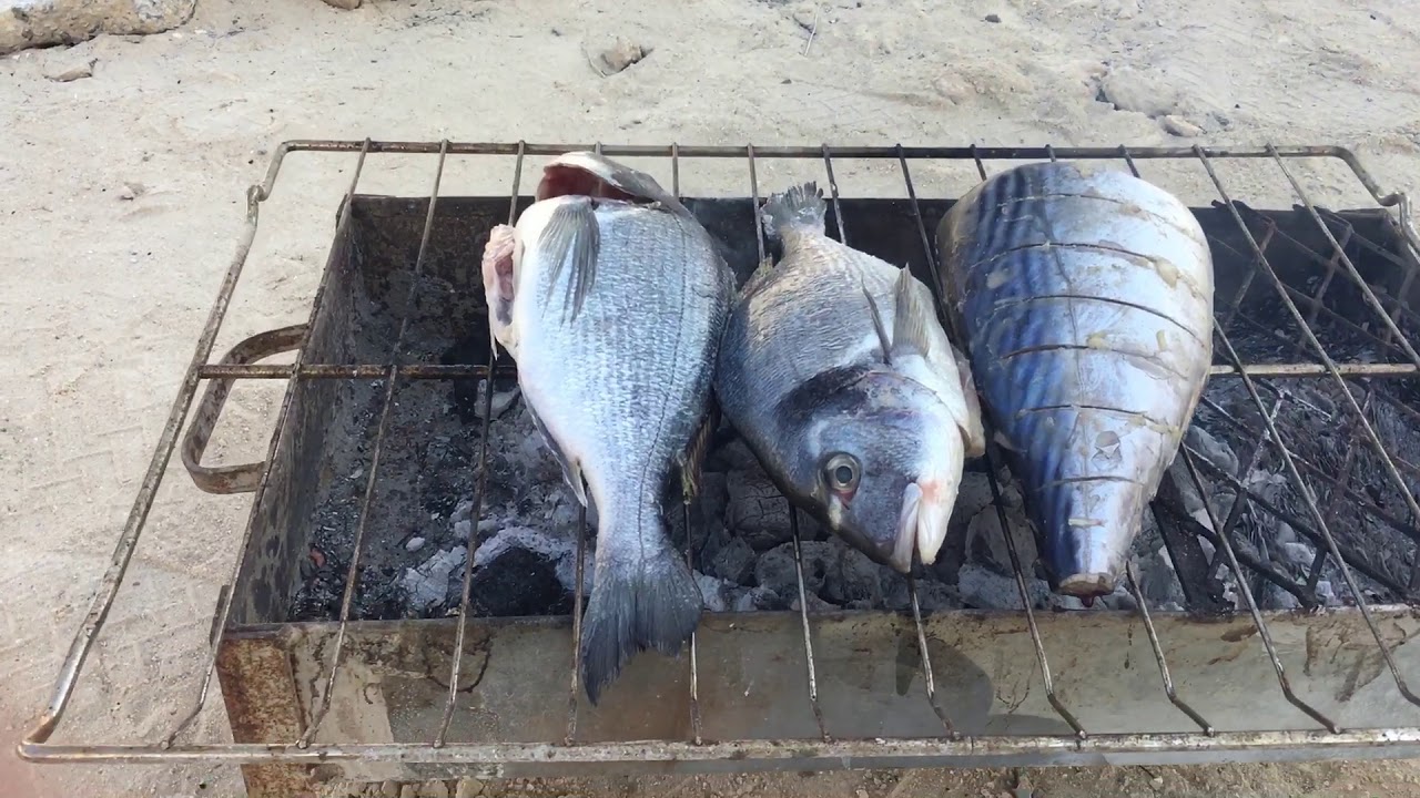 Tuna fish and sabah fish - YouTube