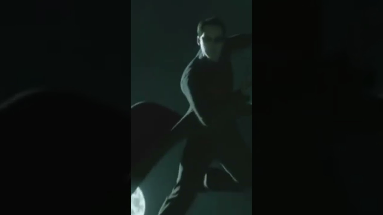 Matrix Reloaded Neo Flying