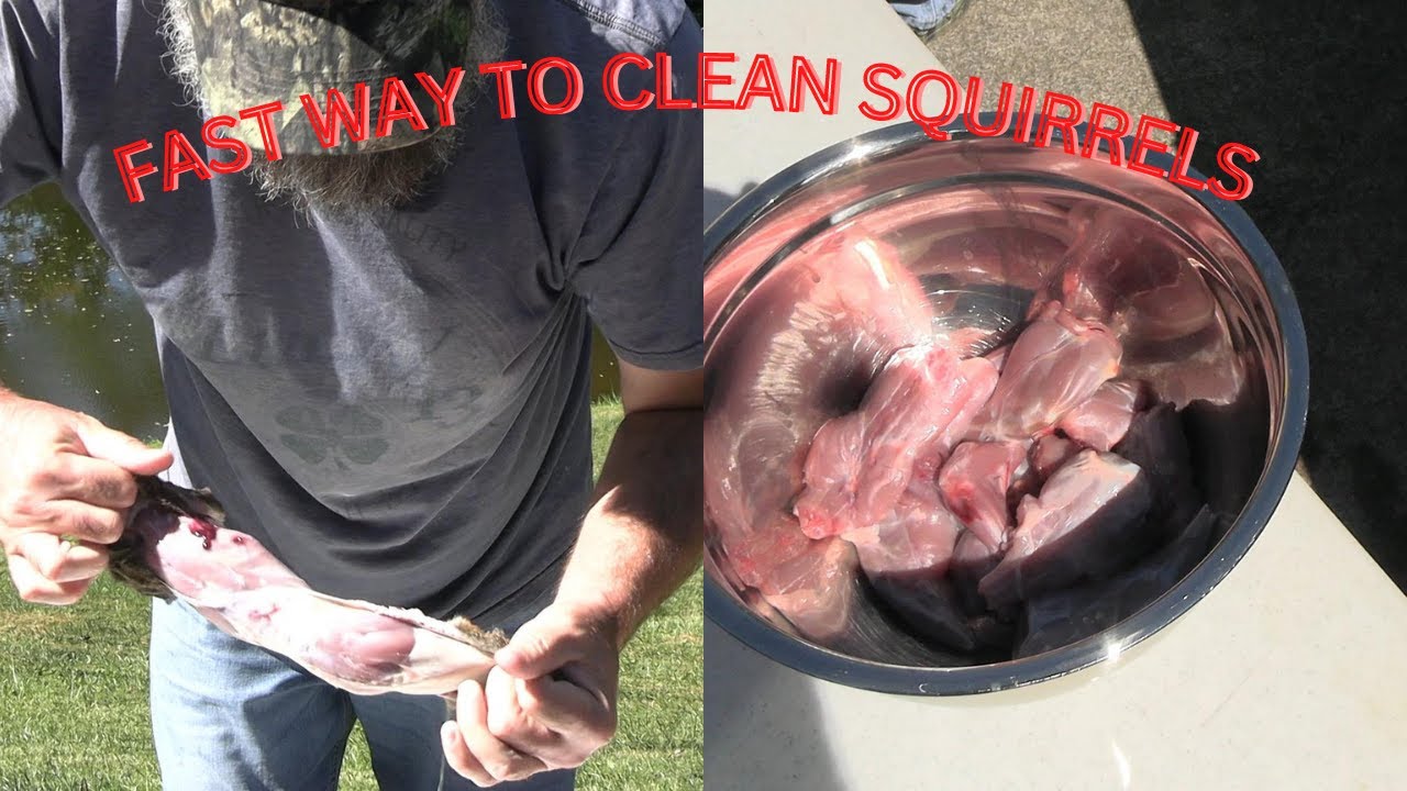 A FAST WAY TO CLEAN SQUIRRELS - YouTube