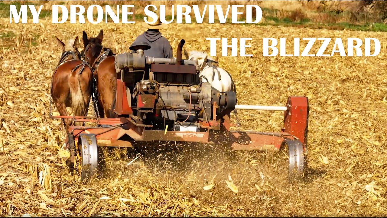 UP CLOSE while FLAIL MOWING Corn Stalks with the OLD ORDER AMISH in ...