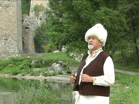 Staniša Paunović - Dunare apa tulbure - YouTube