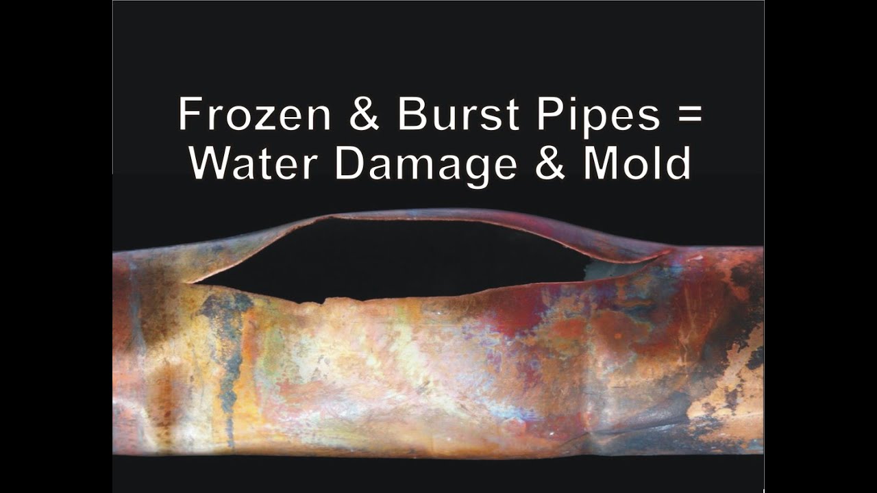 Frozen and Burst Pipes = Water Damage & Mold by Jimmy Garza Emergency ...