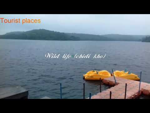 Chidi kho Narsinghgarh. - YouTube