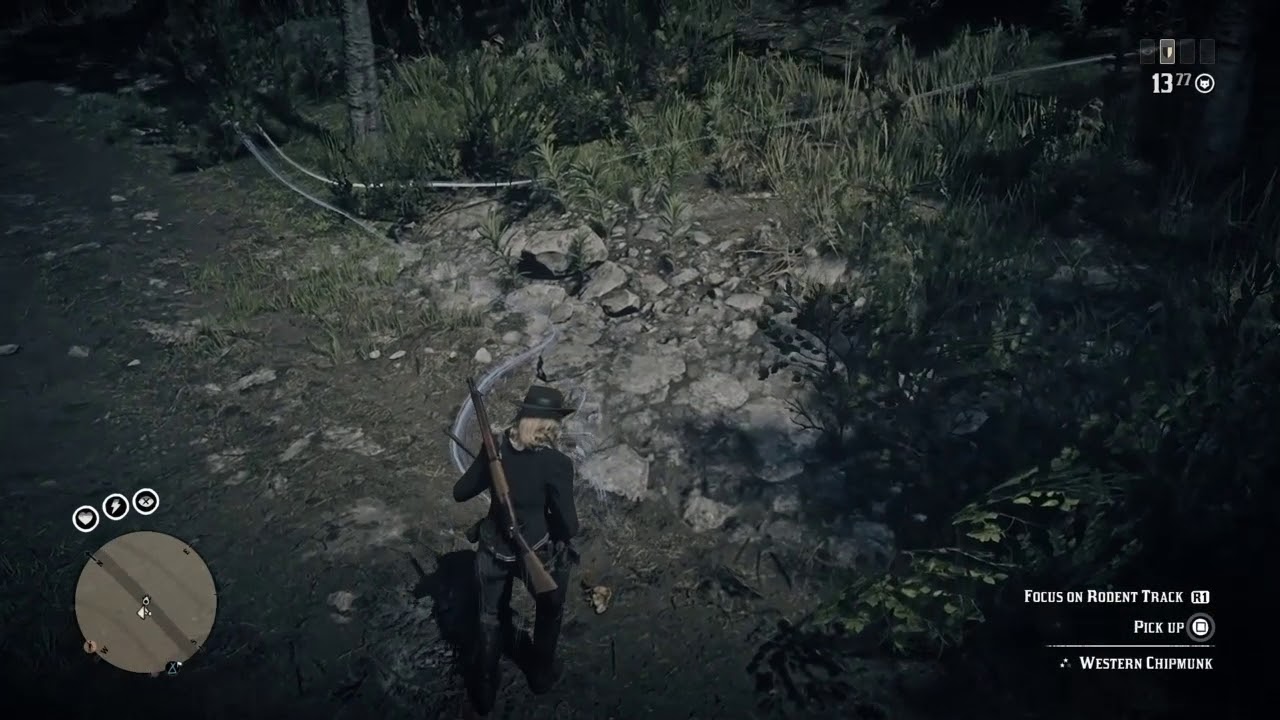 RDR2 Online - Western Chipmunk locations for Daily Challenge - YouTube