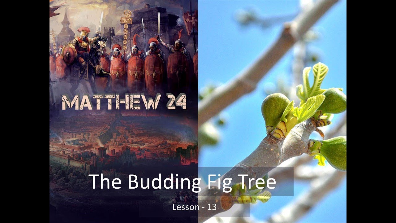 The Budding Fig Tree - YouTube