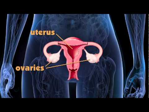 Puberty education video for girls - YouTube