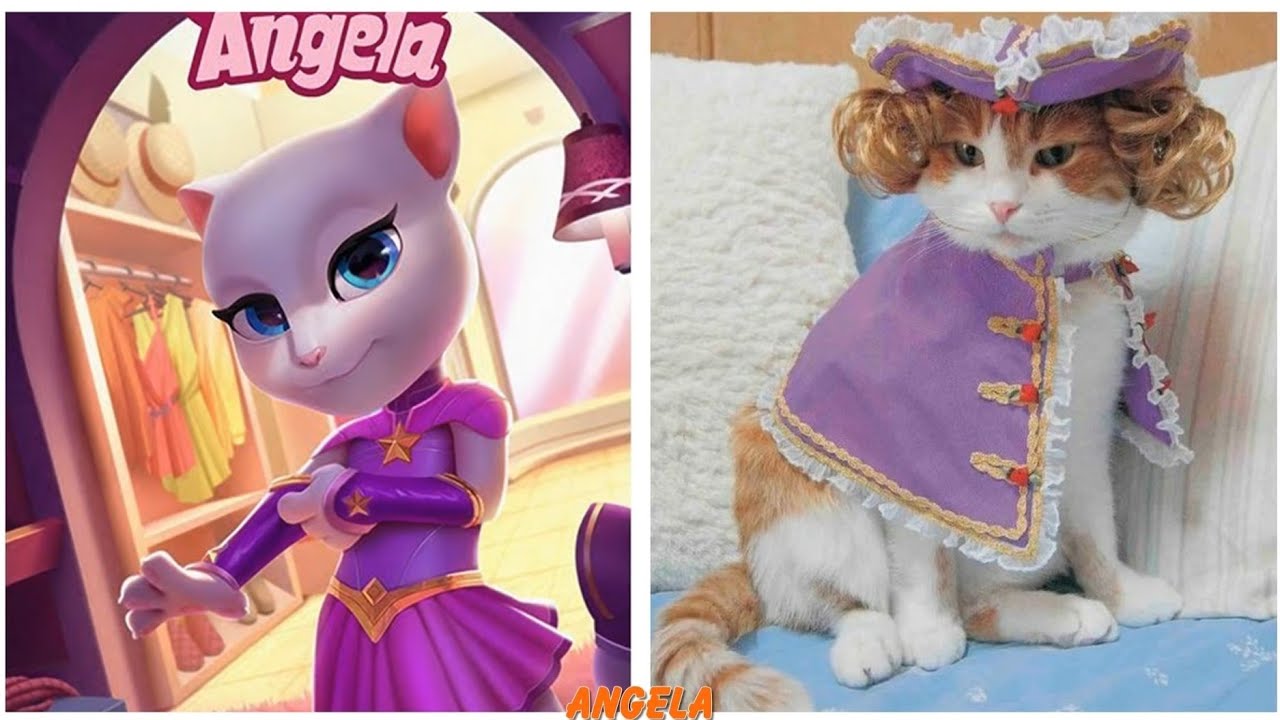 Talking Tom and friends character in real life | Tom in real life ...